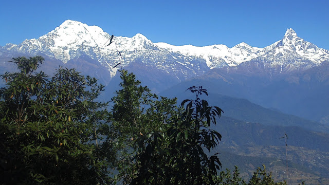 Jhinu Danda Hot Springs/Panchase Bhanjyang Trek