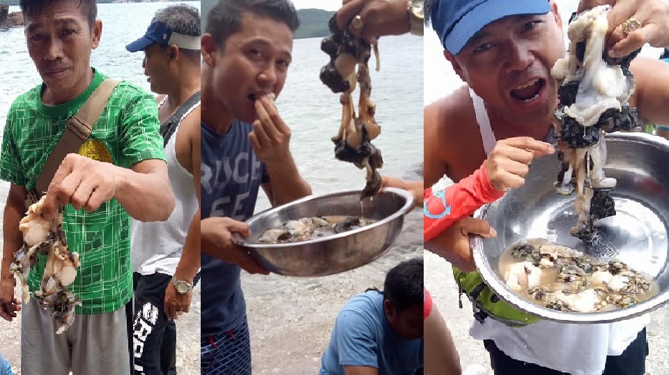 Mga Kinhason o Seashells Marami din sa dagat ng Sto Nino at Camandag Island