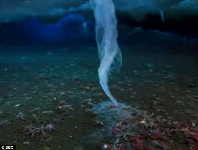 The underwater icicle of death: Bizarre 'Brinicle' forms BENEATH the ...