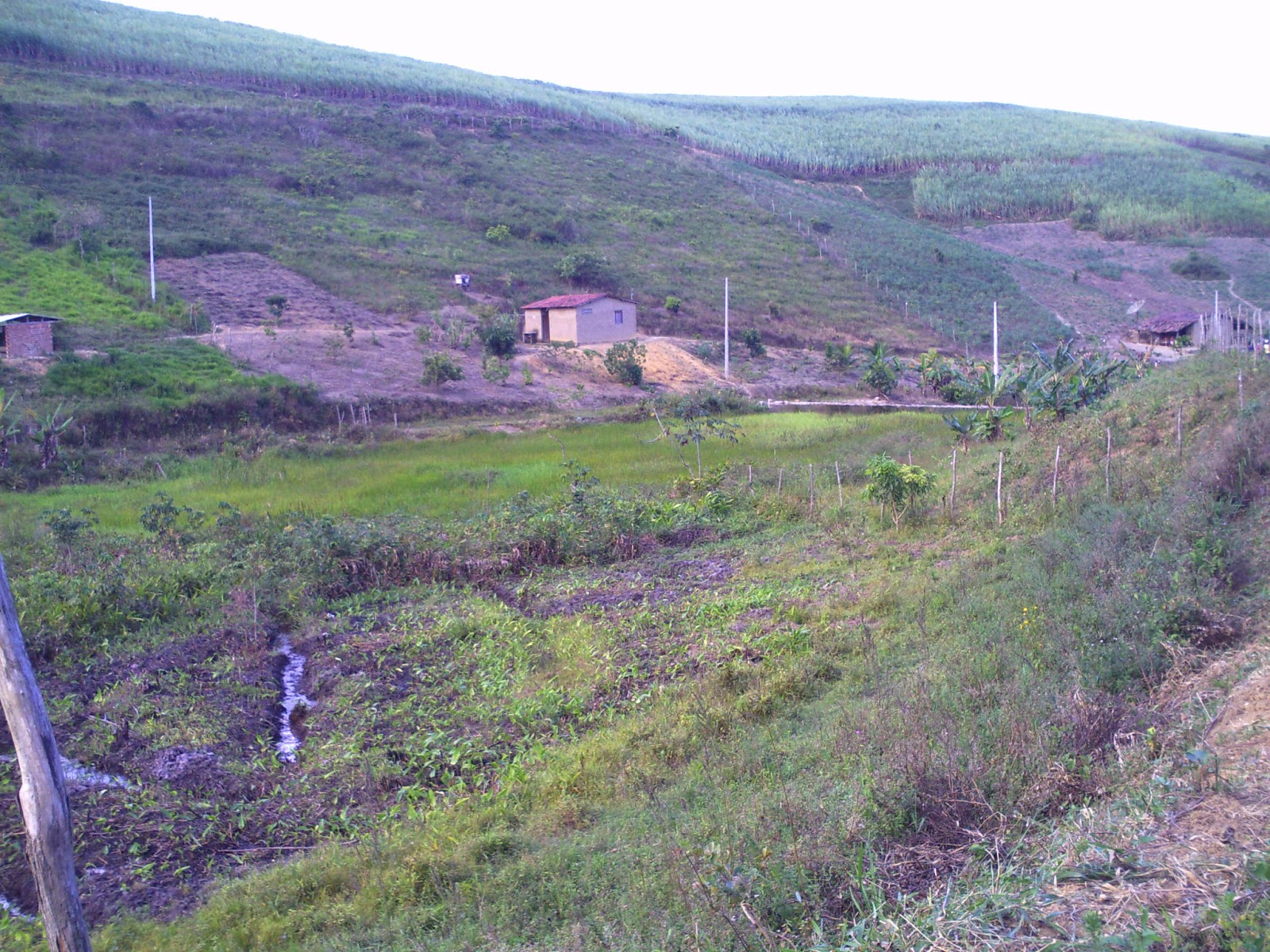 INSS - PREVCIDADE BARRA DE GUABIRABA - PERNAMBUCO