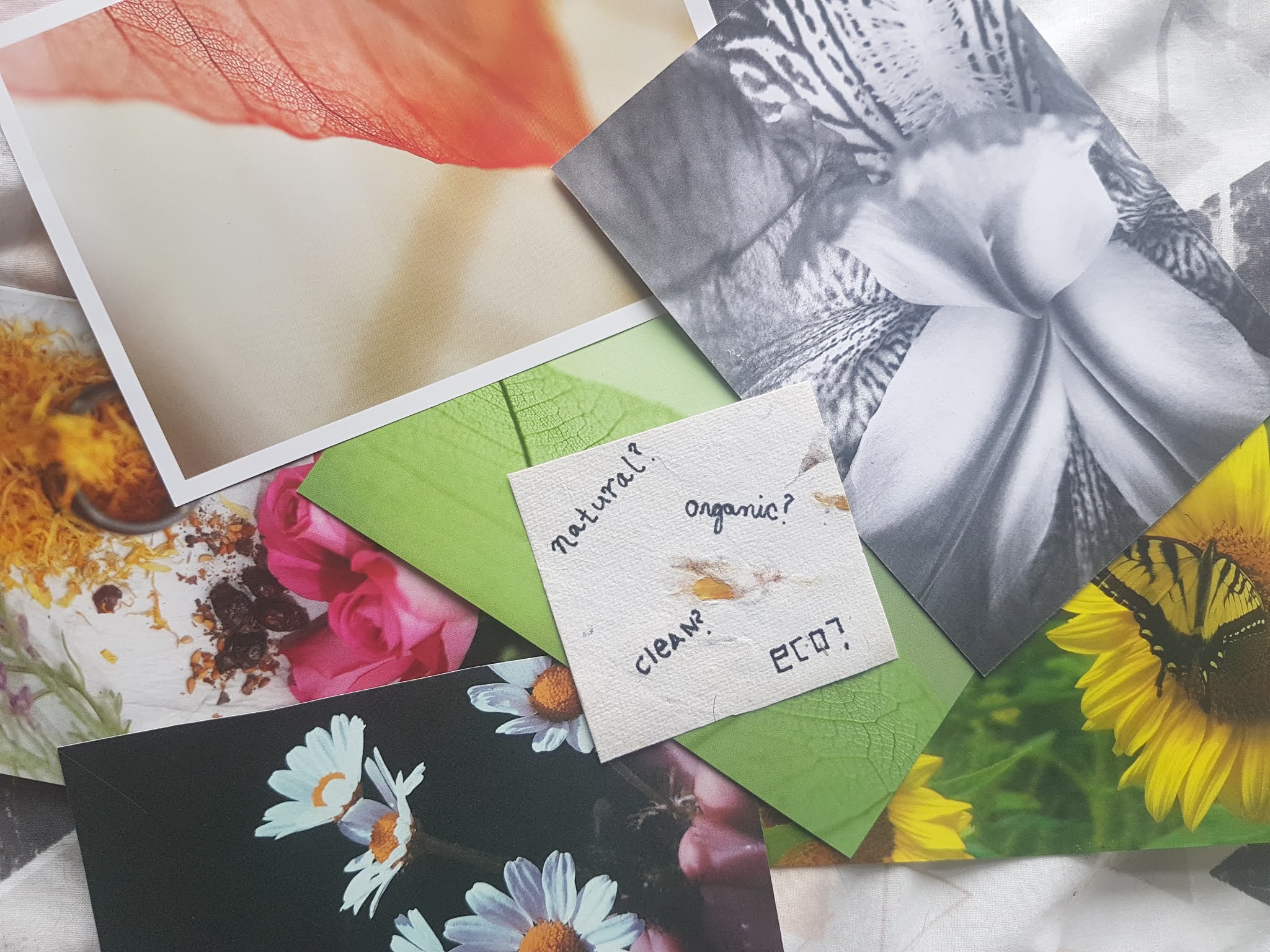 Green, Ethical, Eco, OH MY - Learning Labels - The ecoLogical