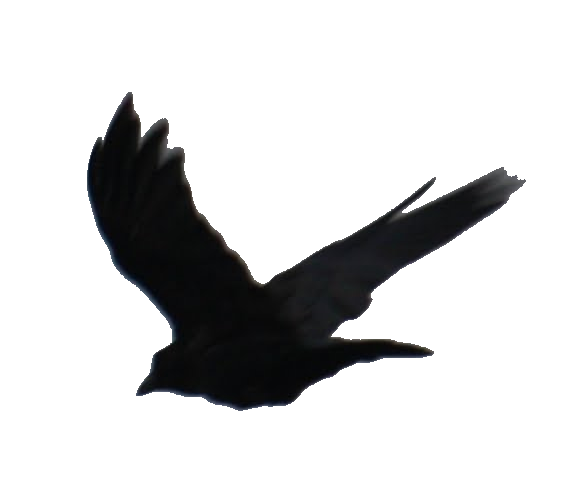 | The Divergent Series | Moderator Topic | - Mafiascum.net