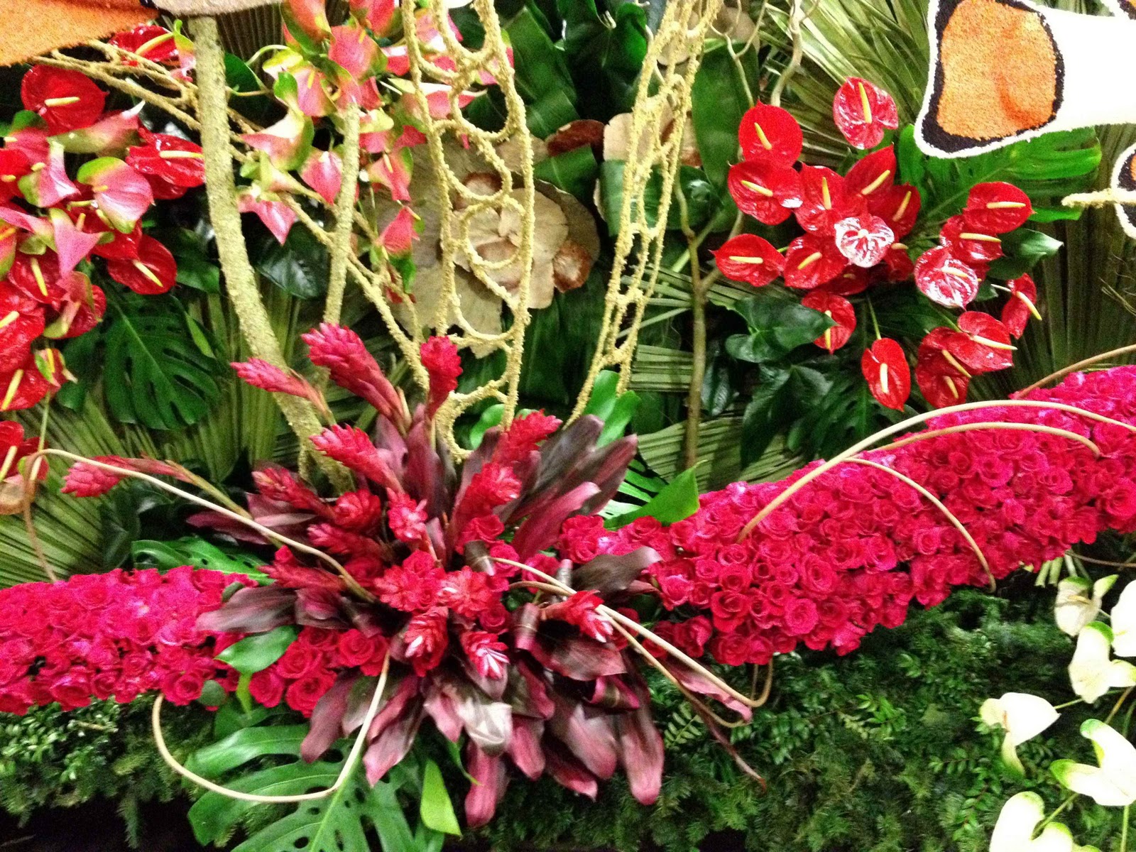 Things to Ponder: Behind The Scenes at the Natural Balance Rose Parade ...