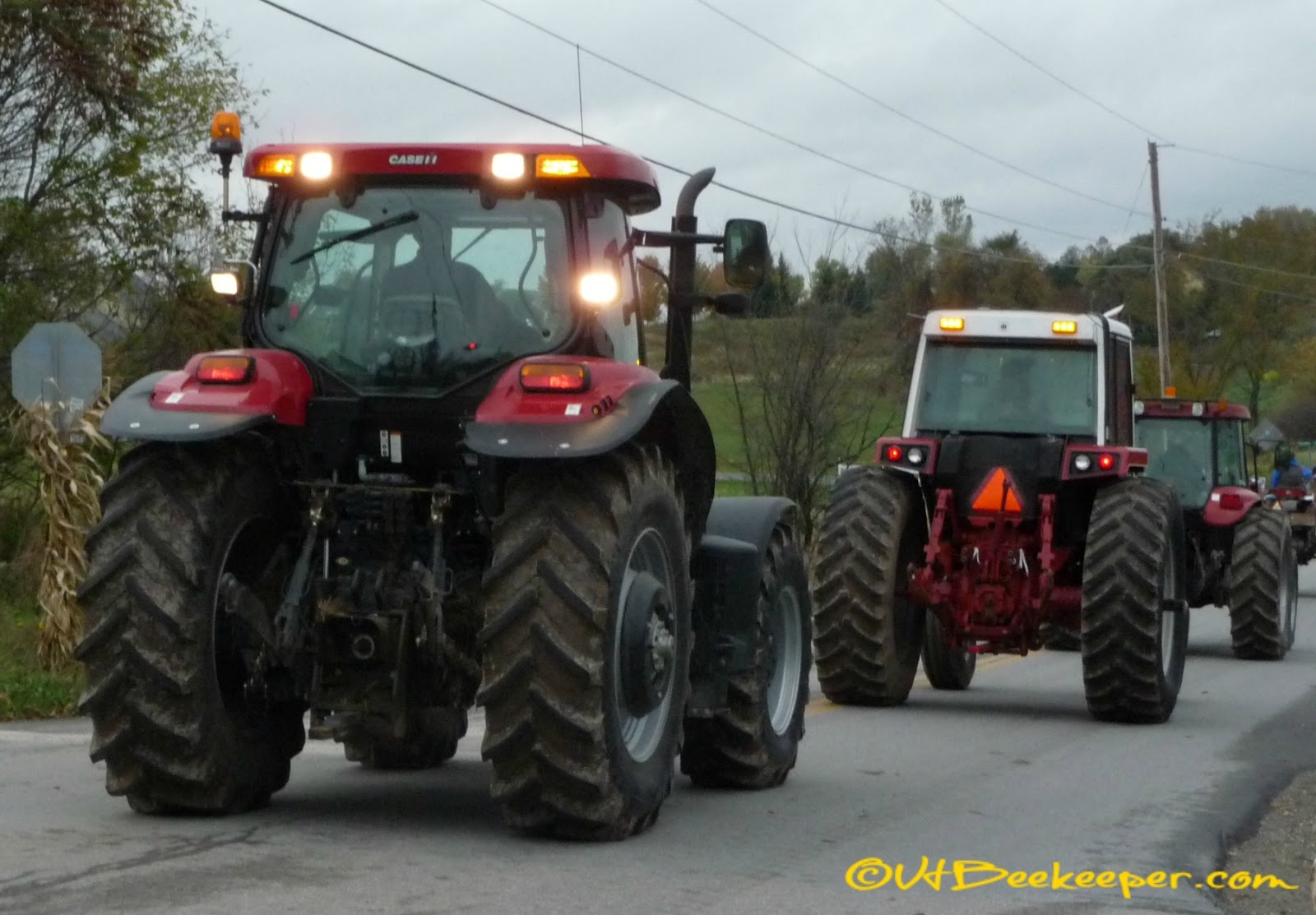 Chronicles of a Beekeeper Wife