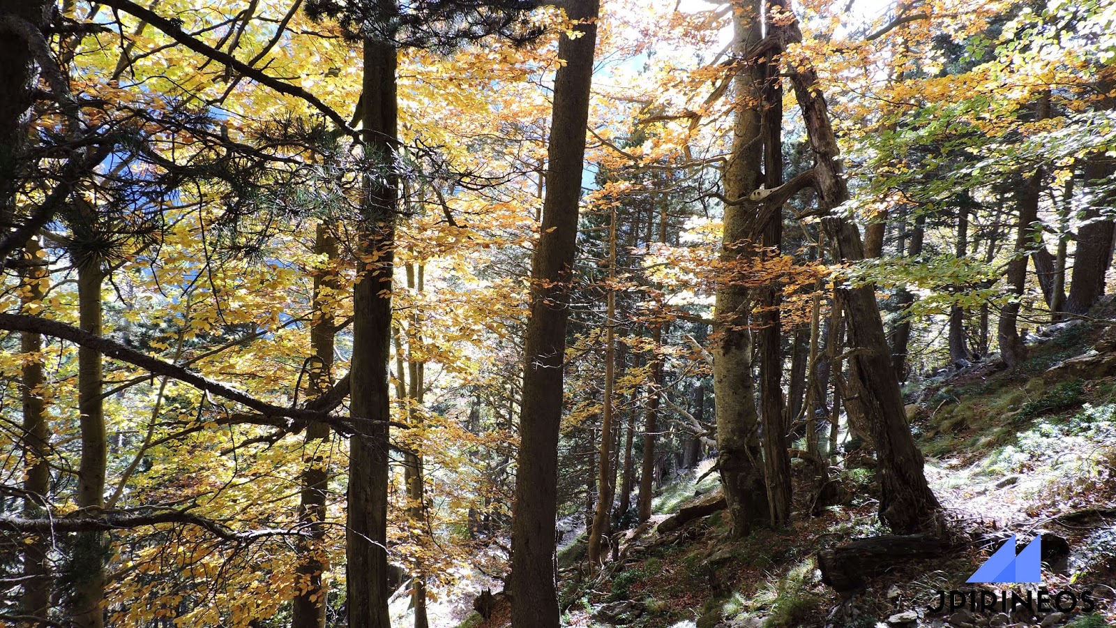 Faja Racón y circo de Cotatuero (clavijas) desde la Pradera de Ordesa