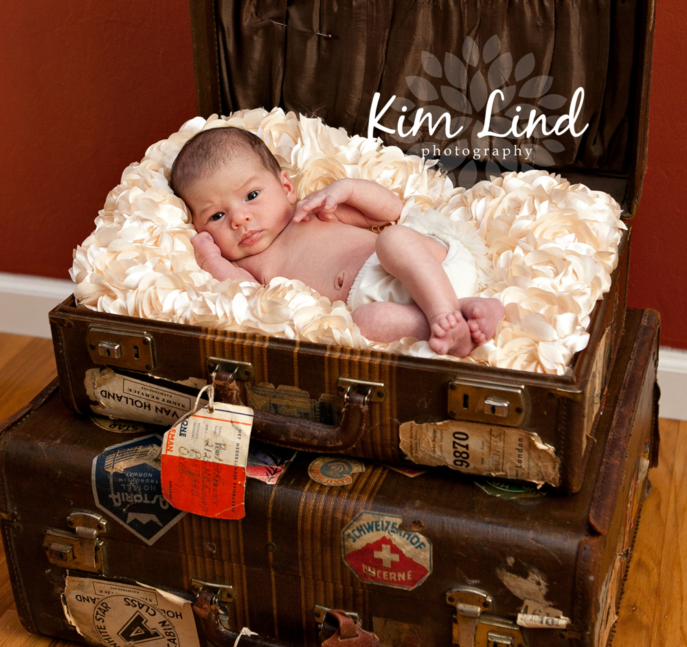 KIM LIND PHOTOGRAPHY {the blog}: Welcome, baby Ellen! | Kim Lind ...