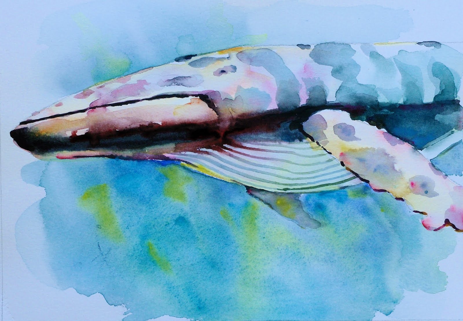 David Lobenberg: GOT FISH?