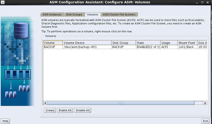 Oracle Database Commands And Practical Examples Acfs