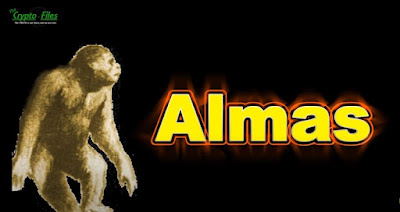 RMSO Bigfoot: Almas Asian Bigfoot Like Cryptid