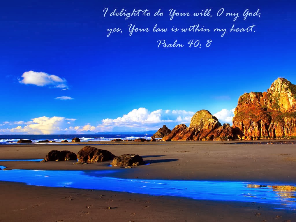reflections-by-bill-lynch-january-14th-reflection-god-s-will-by
