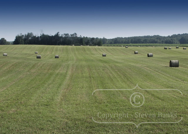 Threads of Crimson Photography: Hay Field