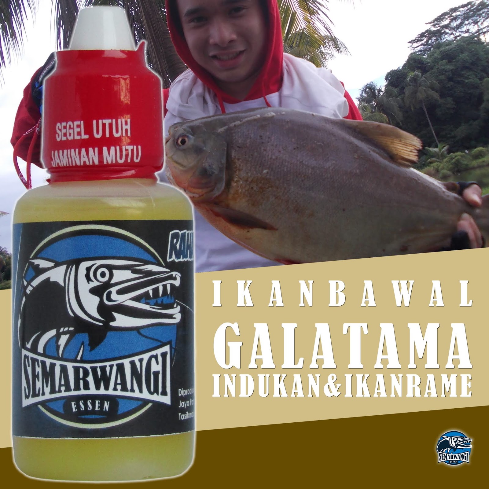 Essen Bawal Galatama Mancing Indukan & Ikan Rame | SEMARWANGI ESSENCE