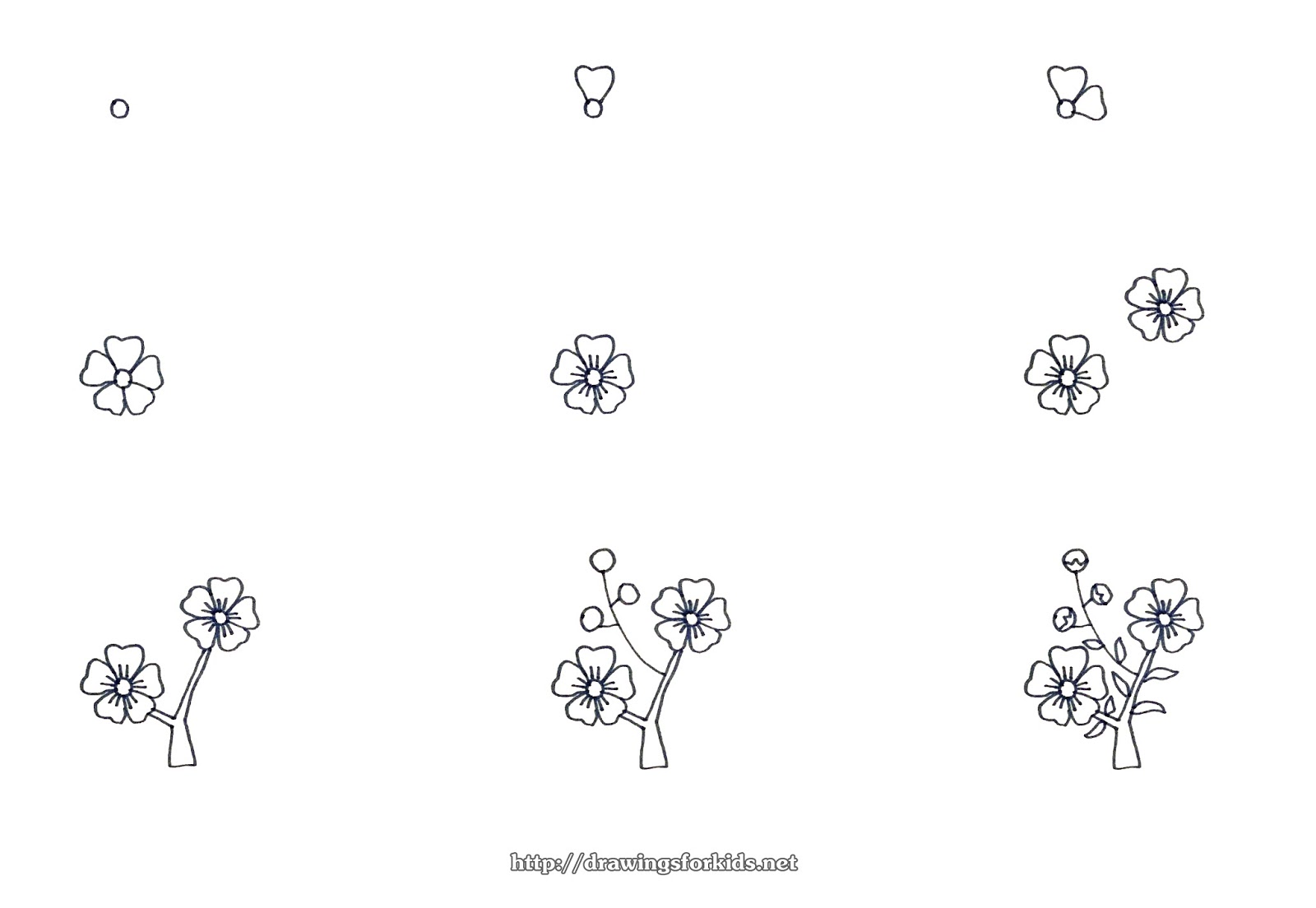 How to draw a Peach Blossom for kids