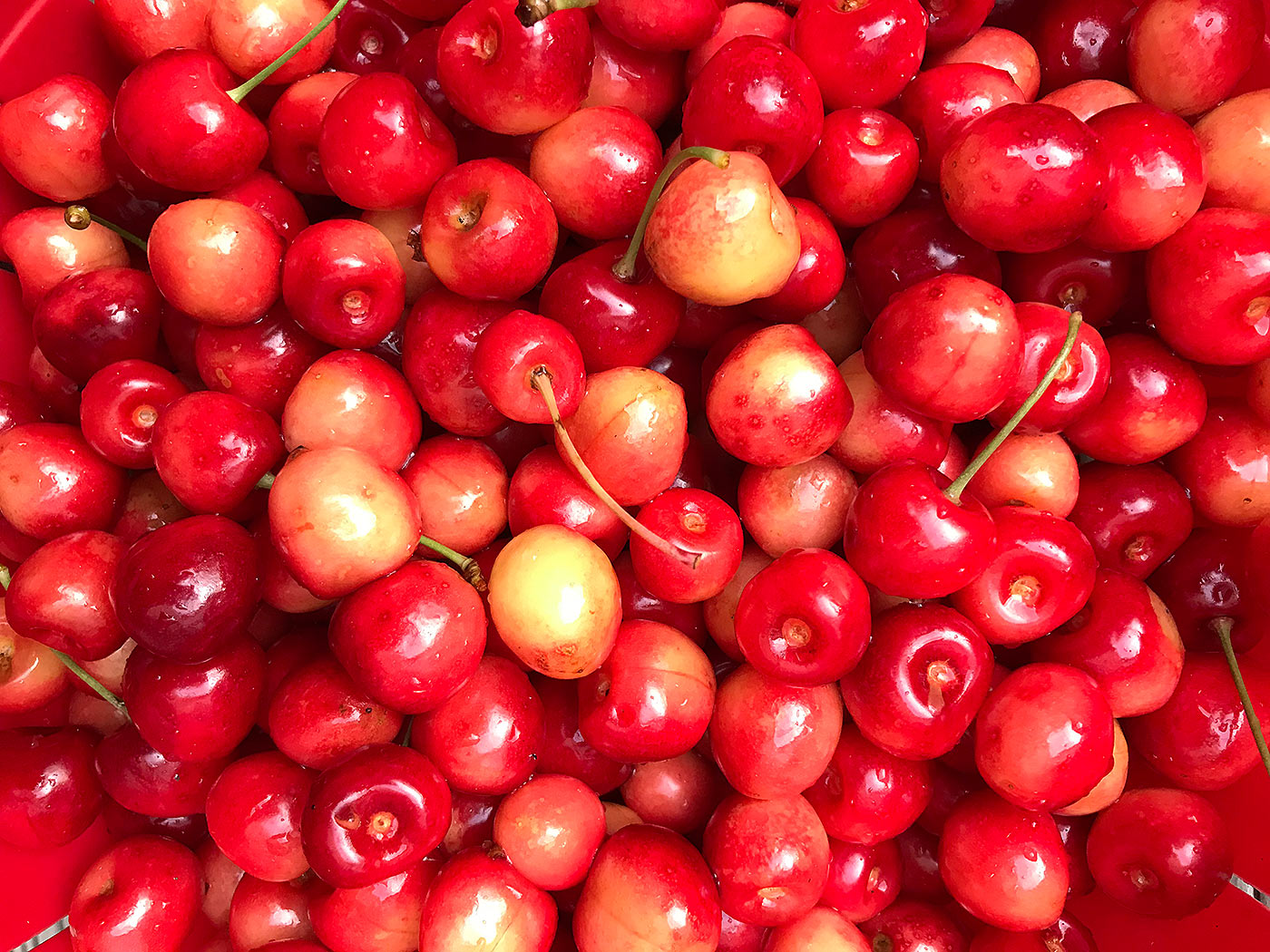 Gartenzone: Kirschsaft, Wildkirschenmarmelade, Kirschprinzessinnen