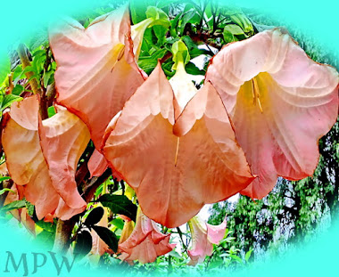 My Palace Walk.....from the Sahara to the Subcontinent: The Princess ...