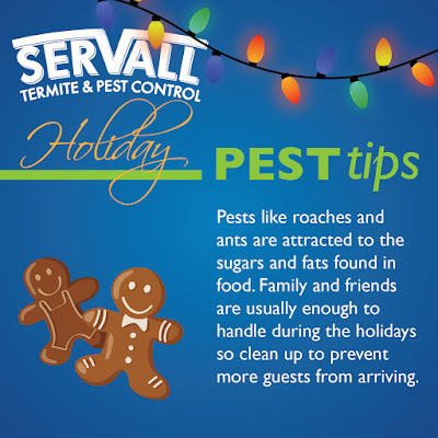 Servall Pest Control: Holiday Pest Tip