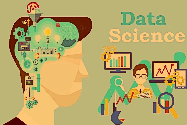 What is Data Science and What Do Data Scientists Do?