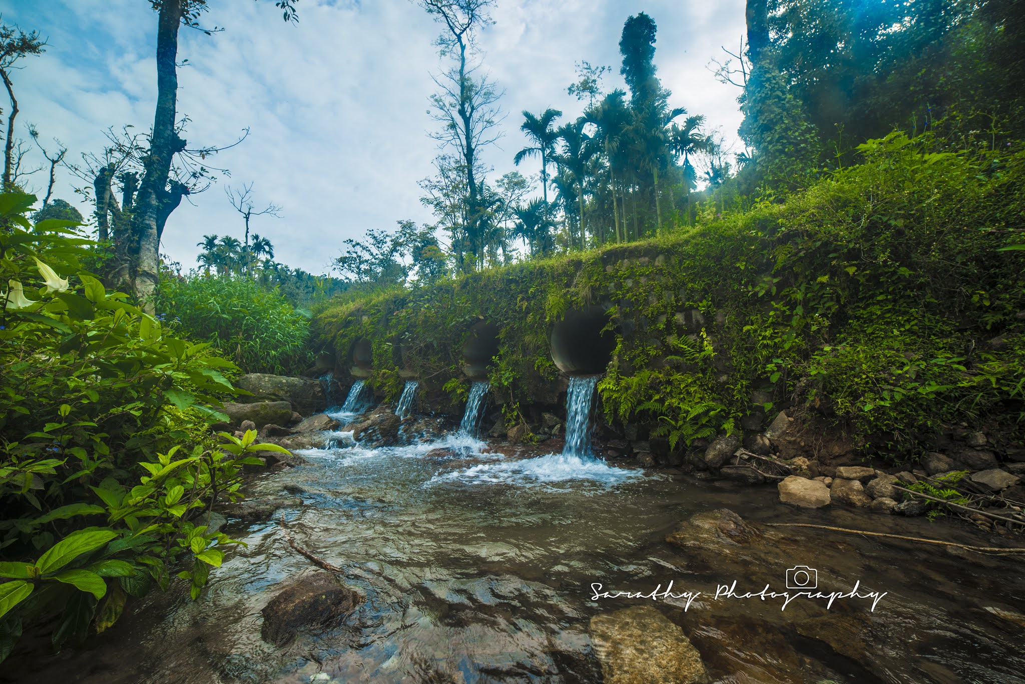 Devaramane Grasslands and Doddegaddavalli Temple day trip