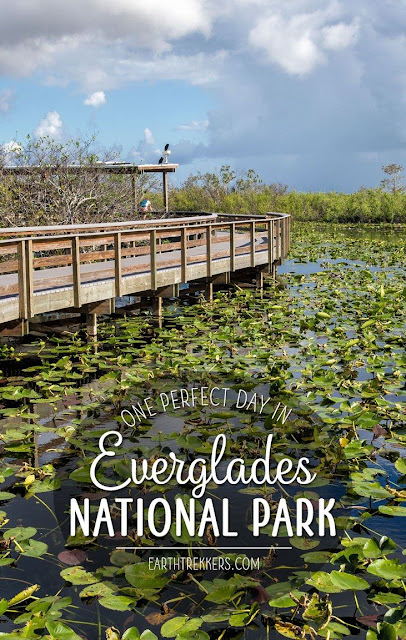 SuperEnglish with Veronika: 11th Grade. Unit 7: LESSON 9: EVERGLADES