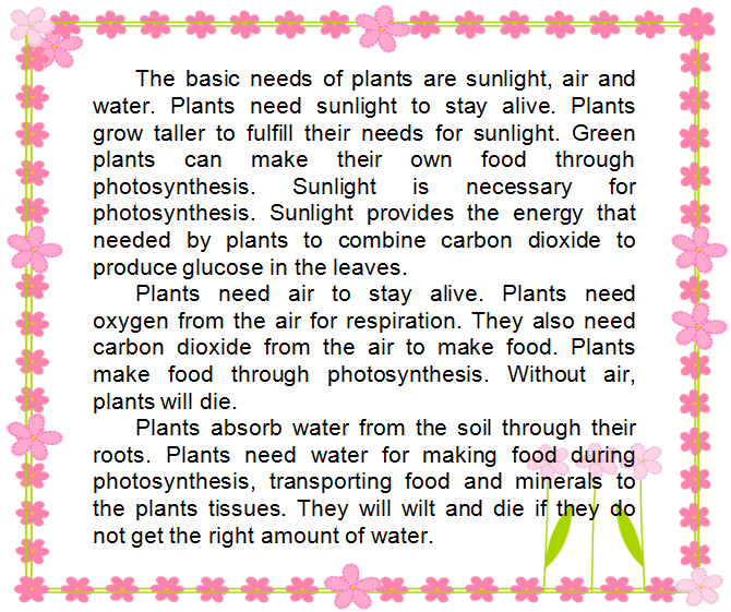 Welcome to Miss Ng Science's World: Basic Needs of Plants