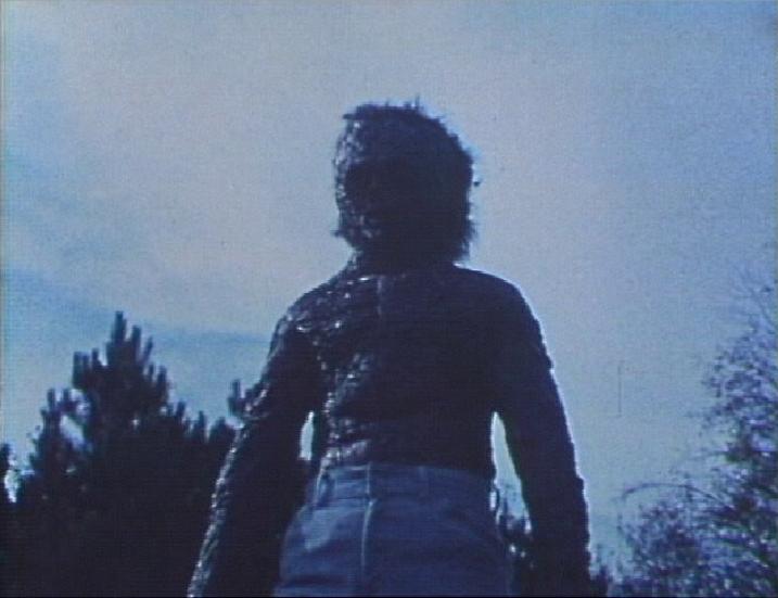 ‎The Alien Factor (1978) directed by Don Dohler • Reviews, film + cast ...