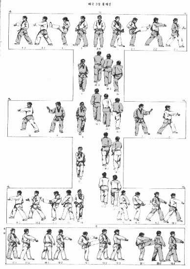 Taegeuk 3 Sam Jang ~ Taekwondo INTI Club