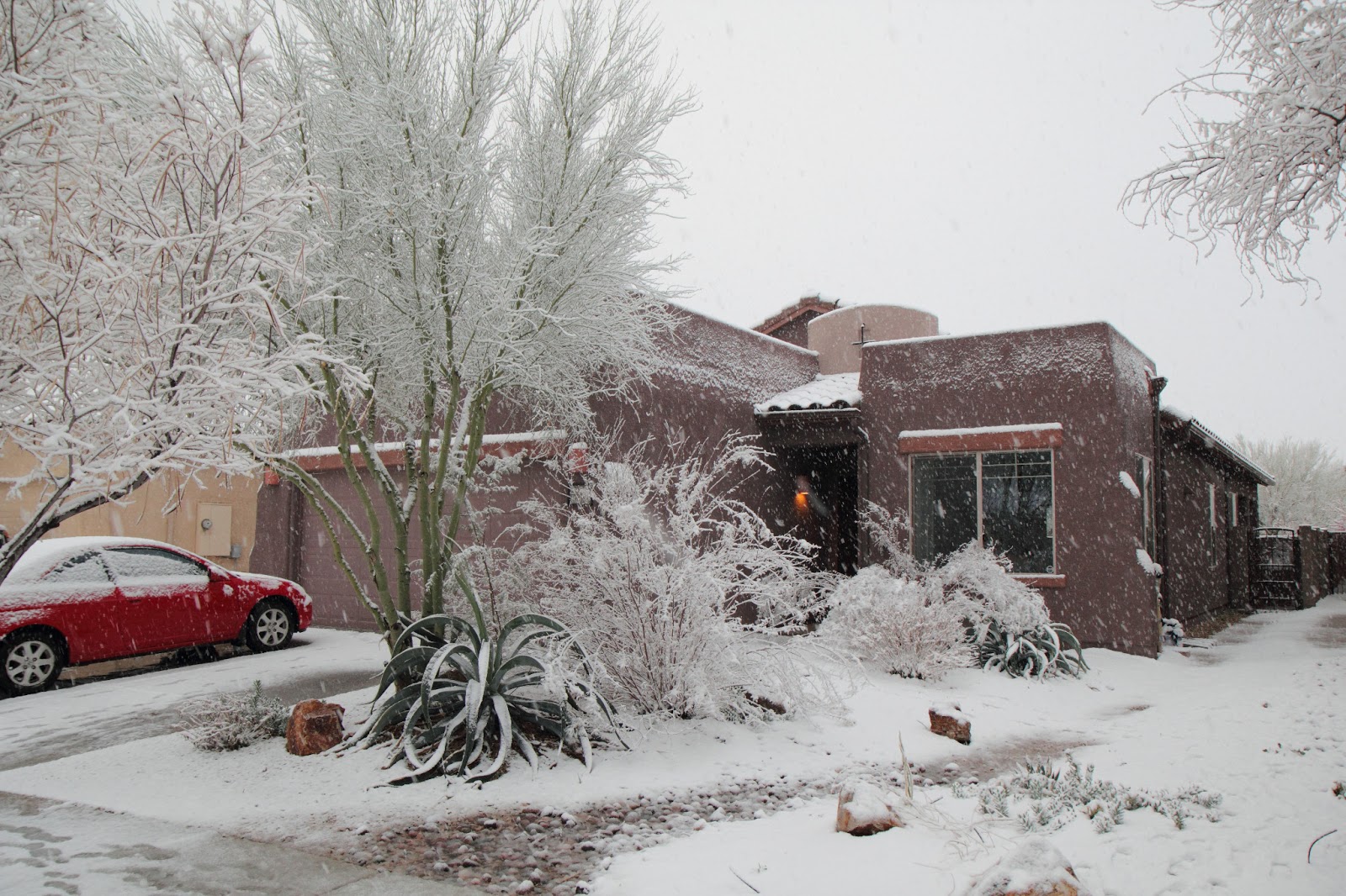 Riggs in Tucson: Tucson Snow 2-20-13