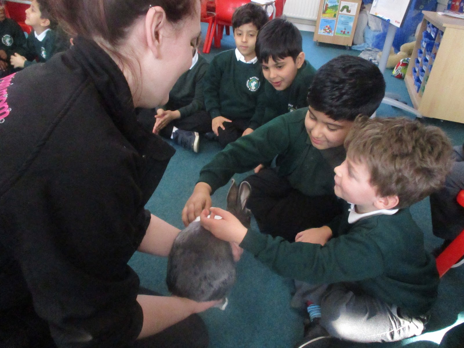 Maytree Nursery and Infant School: Rabbits class meet rabbits!