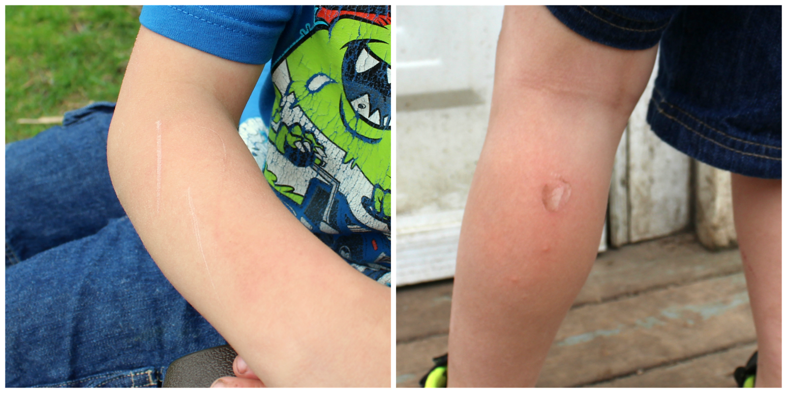 When Ducks Attack (And it's your fault) - The (mis)Adventures of a ...