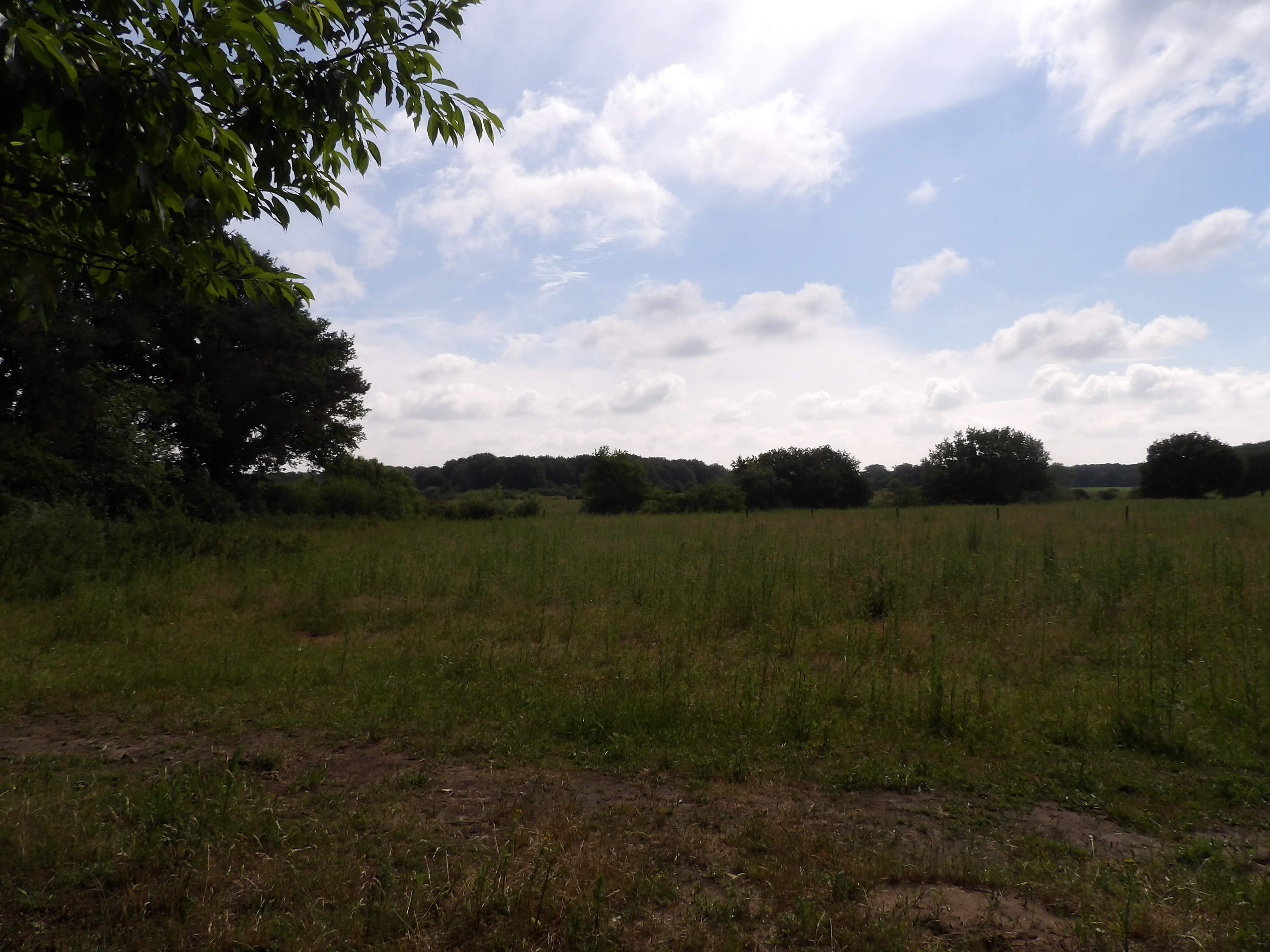 - Vanalleswatjetoe - : Koeland