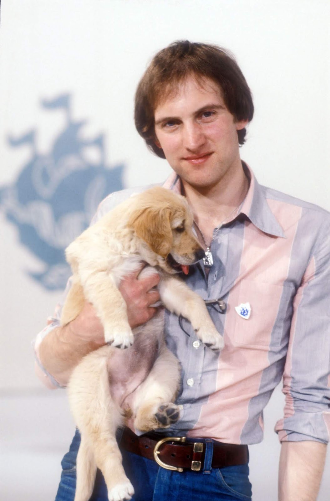 Brownies, Elephants and Sticky-Backed Plastic: Beautiful knockers and a ...