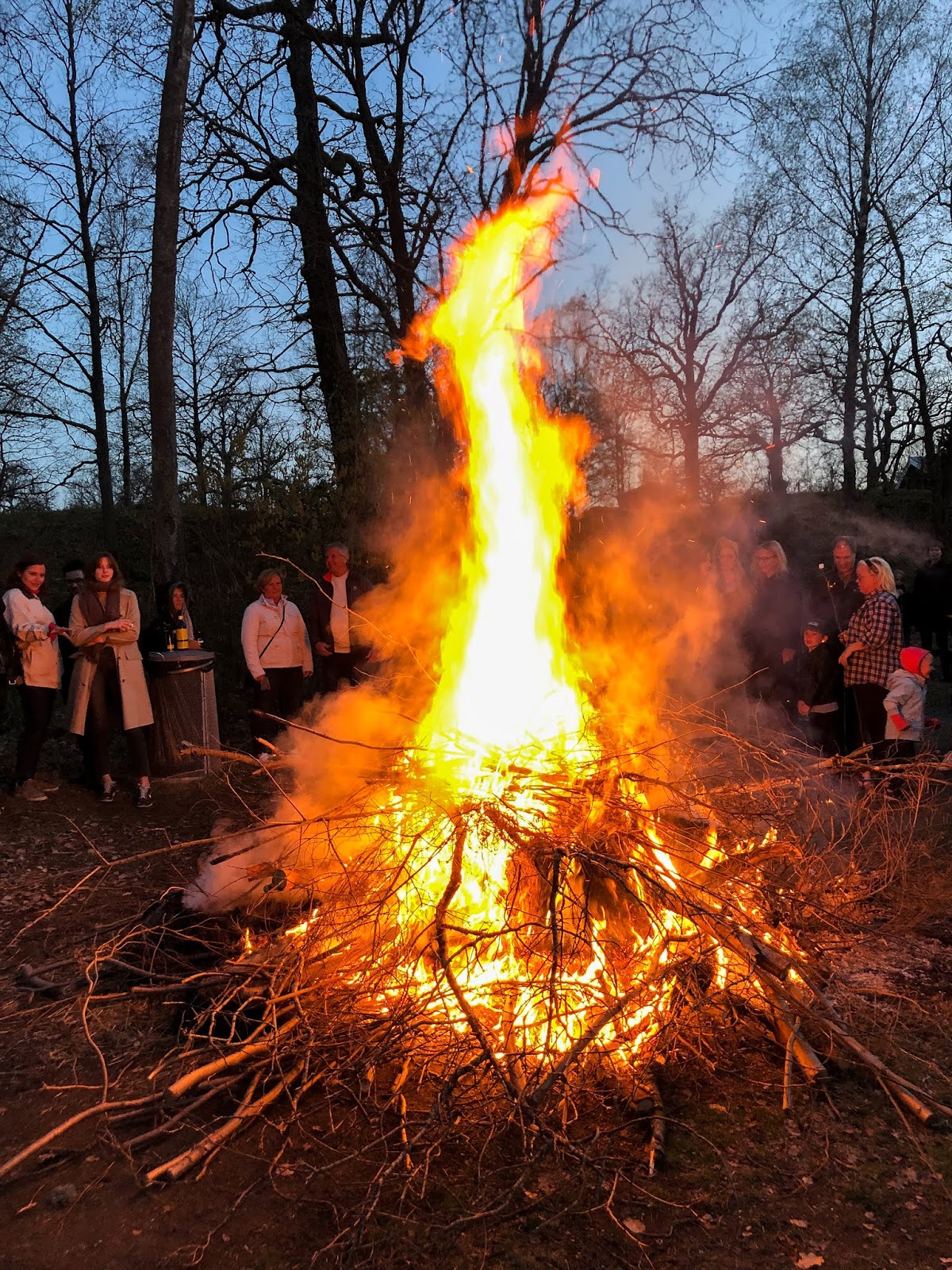 tiramisu: valborg, welcoming spring
