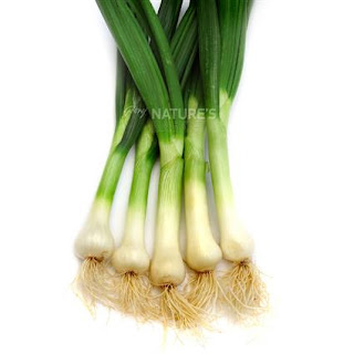 spring onion