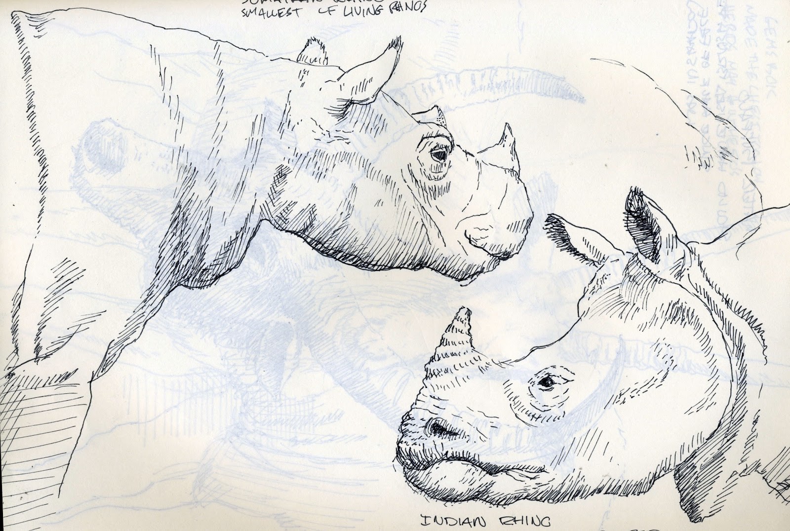 Andy draws
