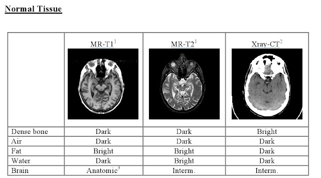 Dentistry and Medicine: Basic MR imaging