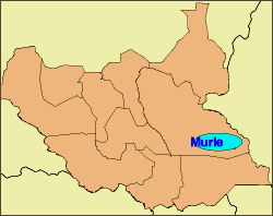 The Only Project: Jonglei State