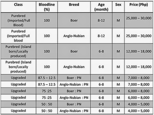 Options to Improve Traditional Goat Breeding: Stock Upgrading