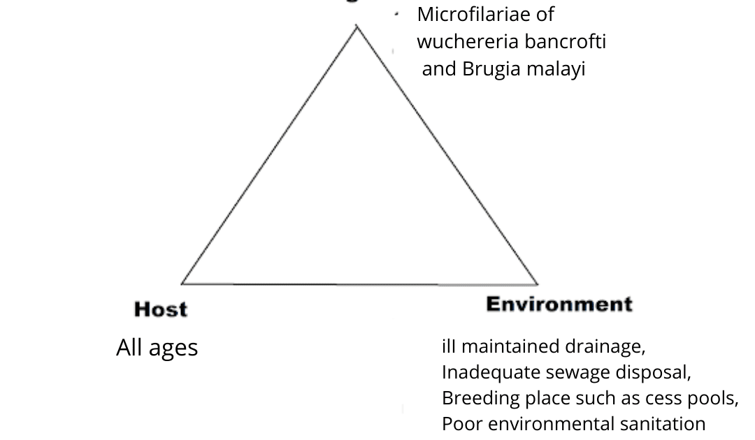 Filariasis - Pathophysiology, Symptoms, Causes, Diagnosis, and Treatment