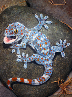 Buying Tokay Gecko: Bumibili ng Tokay Gecko (PHILIPPINE TUKO) 4 Pets ...