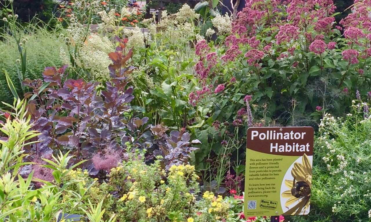 Master Gardener Volunteer Program: Rock Prairie Association: XERCES ...