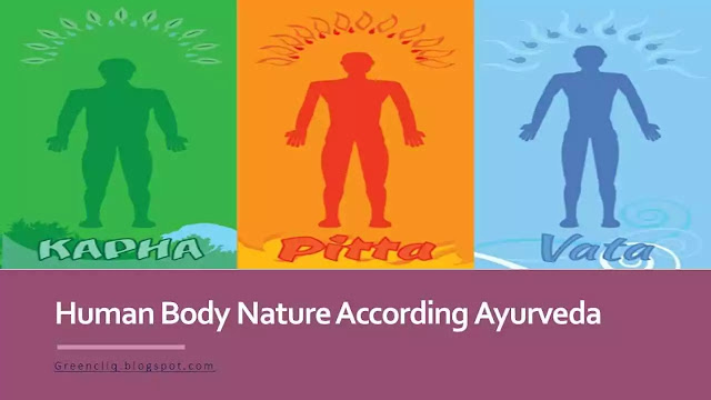 Human Body Nature According Ayurveda