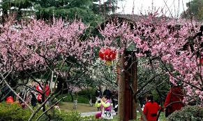EVERYTHING ABOUT CHINESE: IKLIM SHANGHAI