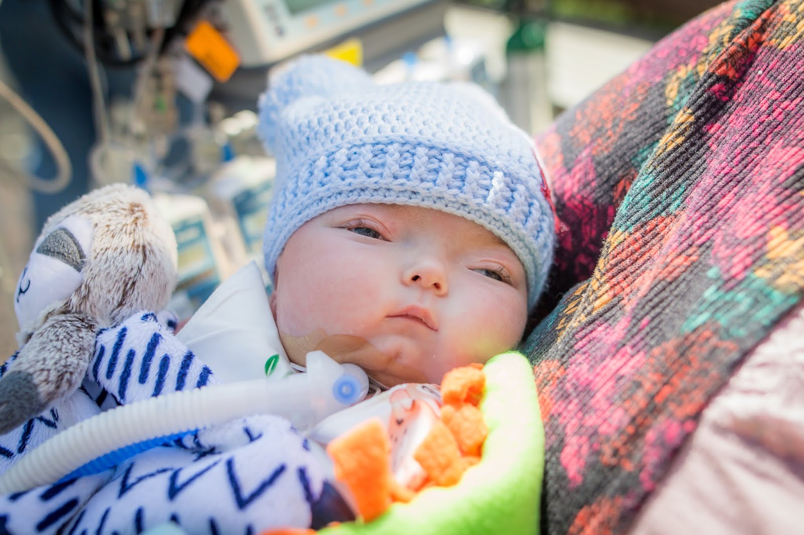 The Spencer's Adventures