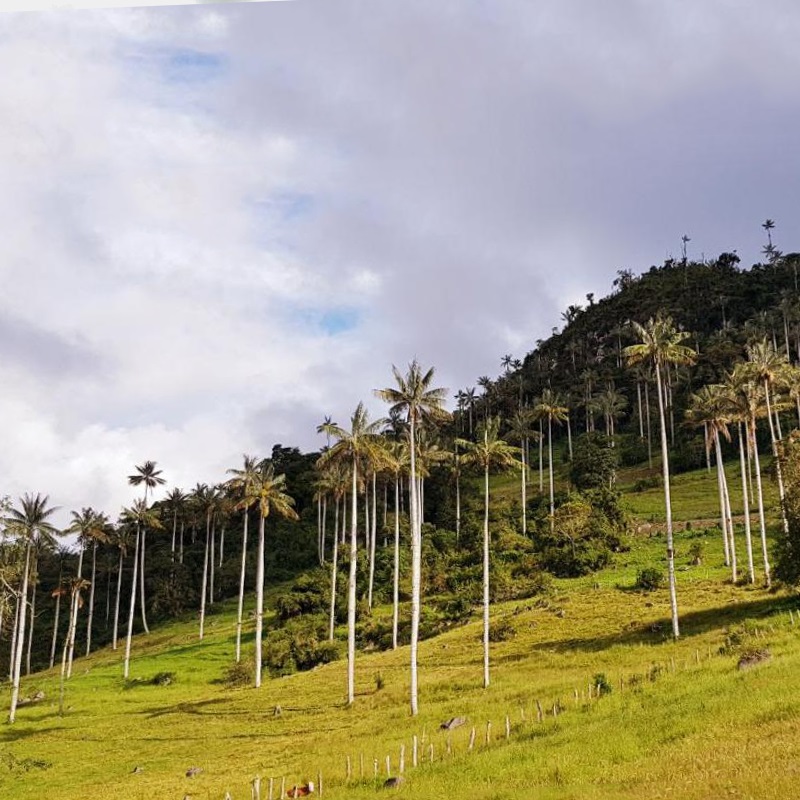 Parque Nacional Cutervo