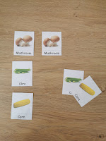 How to use the Montessori 3-Part Cards