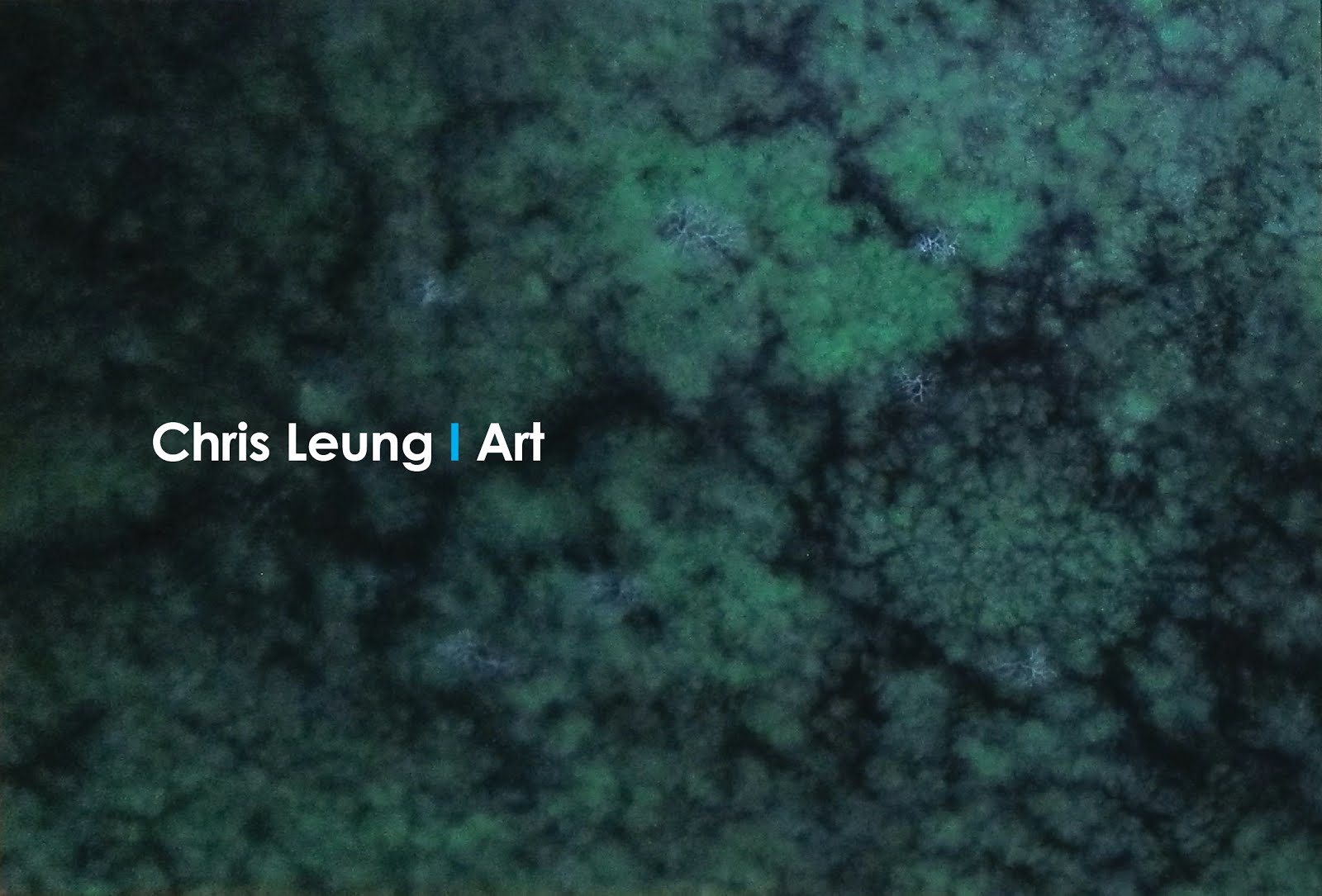 Chris Leung Art