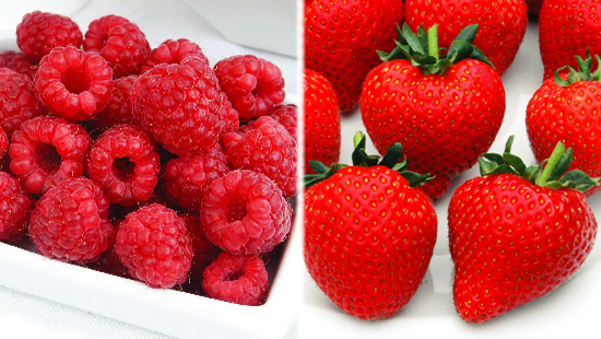 Vesna's Party Blog: Canada Day Food - Appetizers, Snacks, Desserts, and ...