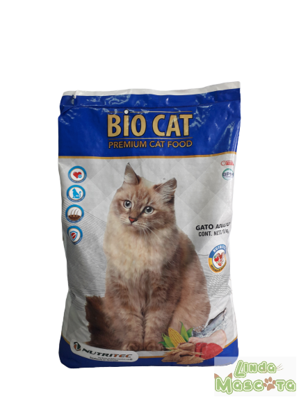 LINDA MASCOTA CONCEPCIÓN: Bio Cat