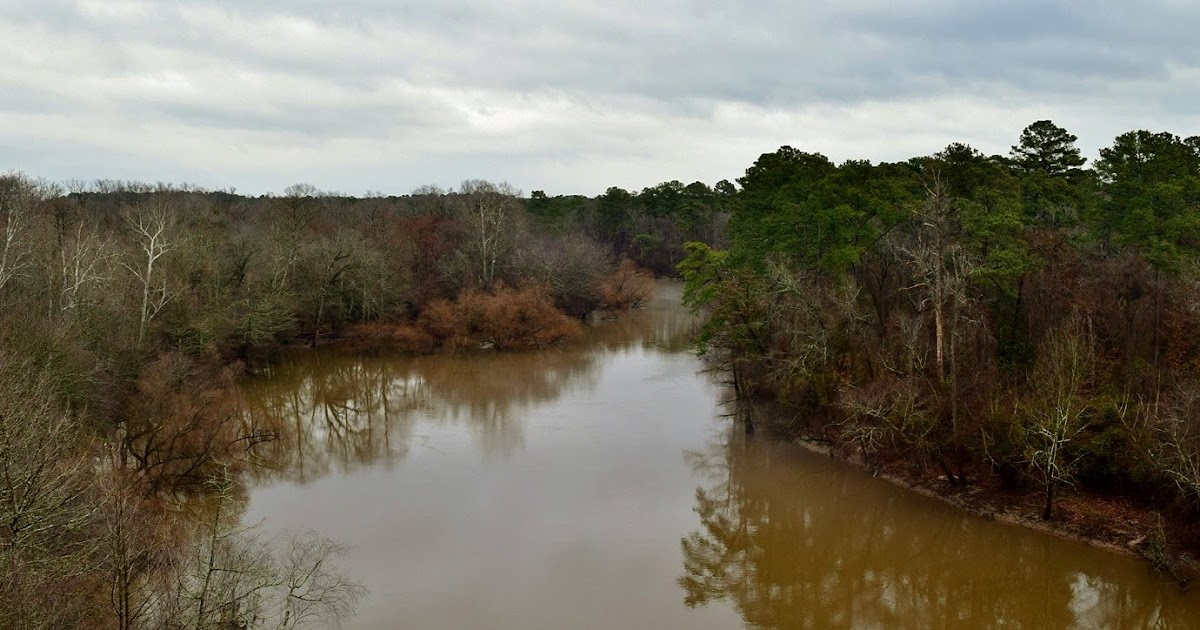 Waterfall Hero Hikes: Cliffs of the Neuse State Park