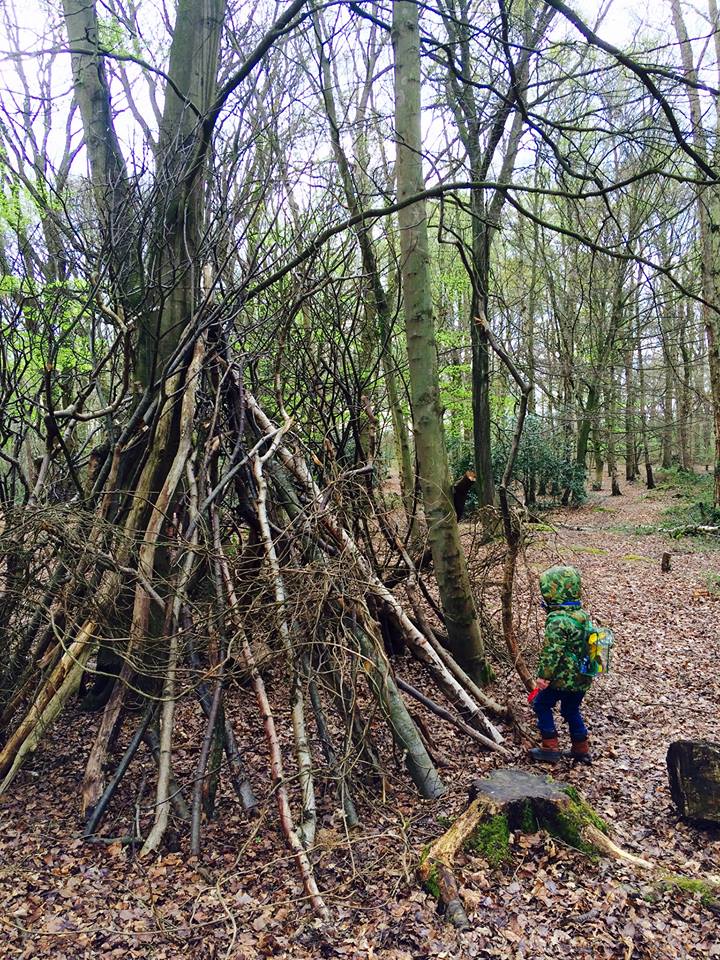 Tales of the March Hare: High Woods Country Park, Turner Road ...